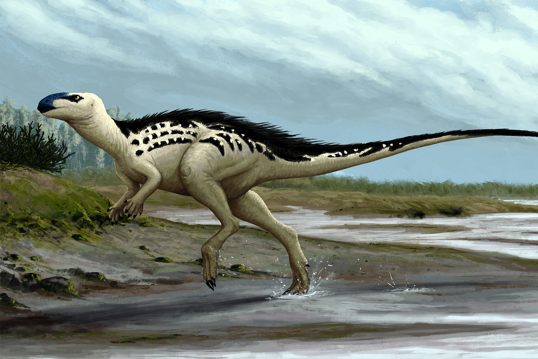Dvě století paleontologie: Deset největších dinosauřích objevů | 100+1 ...