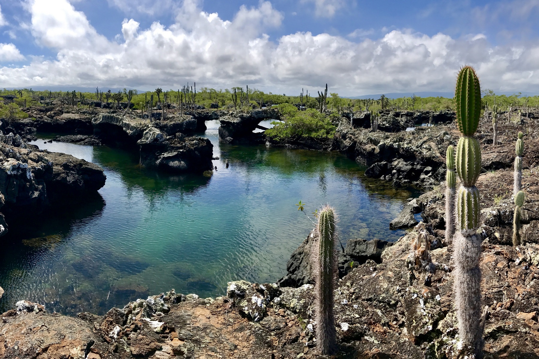 Galapágy: V laboratoři evoluce nejsou turisté vítáni | 100+1 zahraniční ...