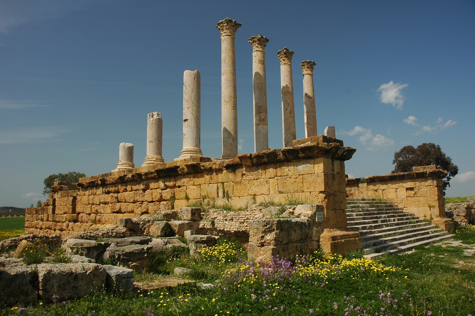 Tunis: Kamenné srdce Kartága | 100+1 zahraniční zajímavost