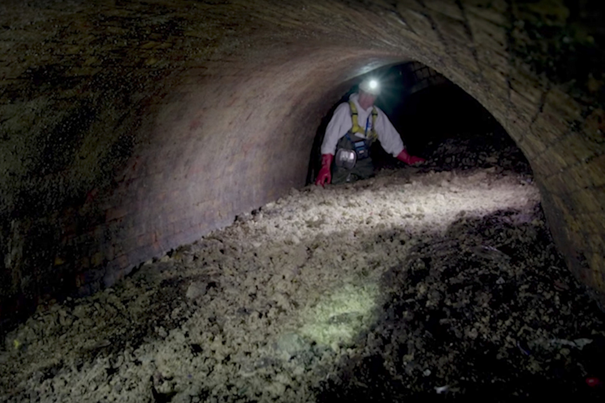 Nezdolný tukovec: Londýnské Muzeum hodlá vystavit nechutnost z ...