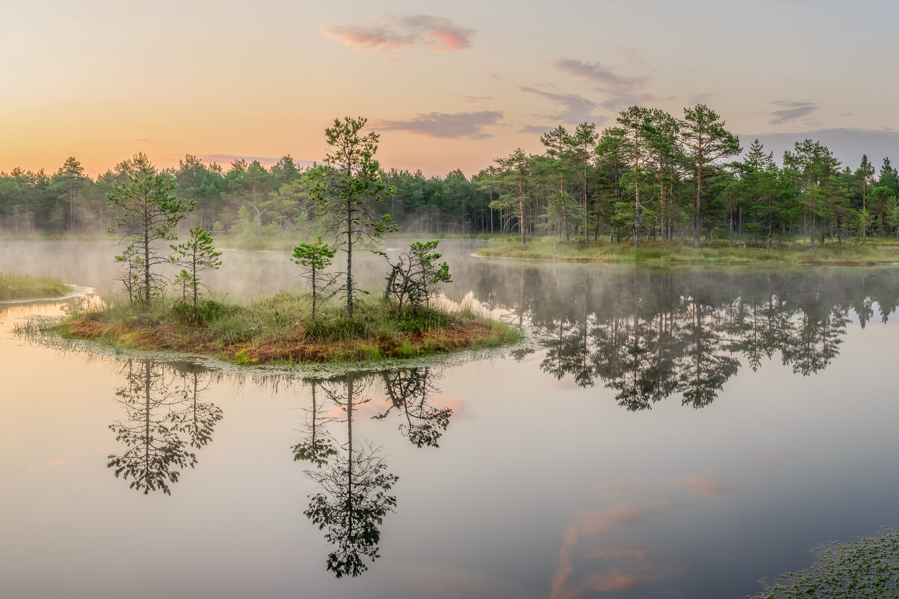 Estonsko: Cesta do země bažin | 100+1 zahraniční zajímavost