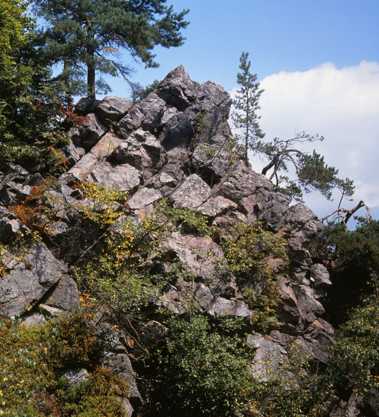 Za kamennými kuriozitami: Poznejte slepencové skalní útvary na vlastní ...