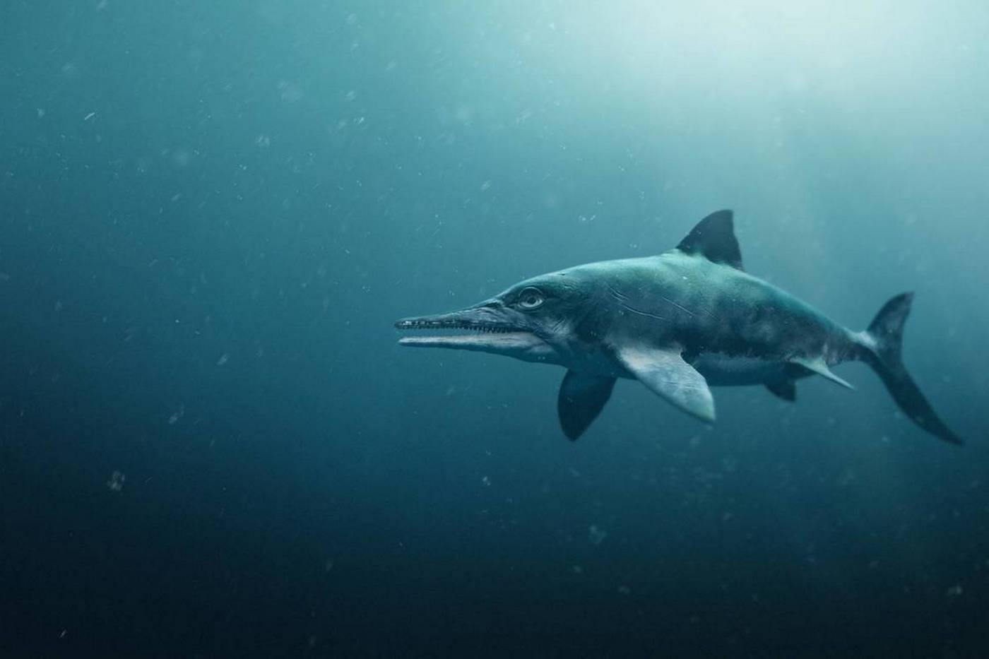 Paleontologové objevili zkamenělého ichtyosaura i s jeho kořistí v ...