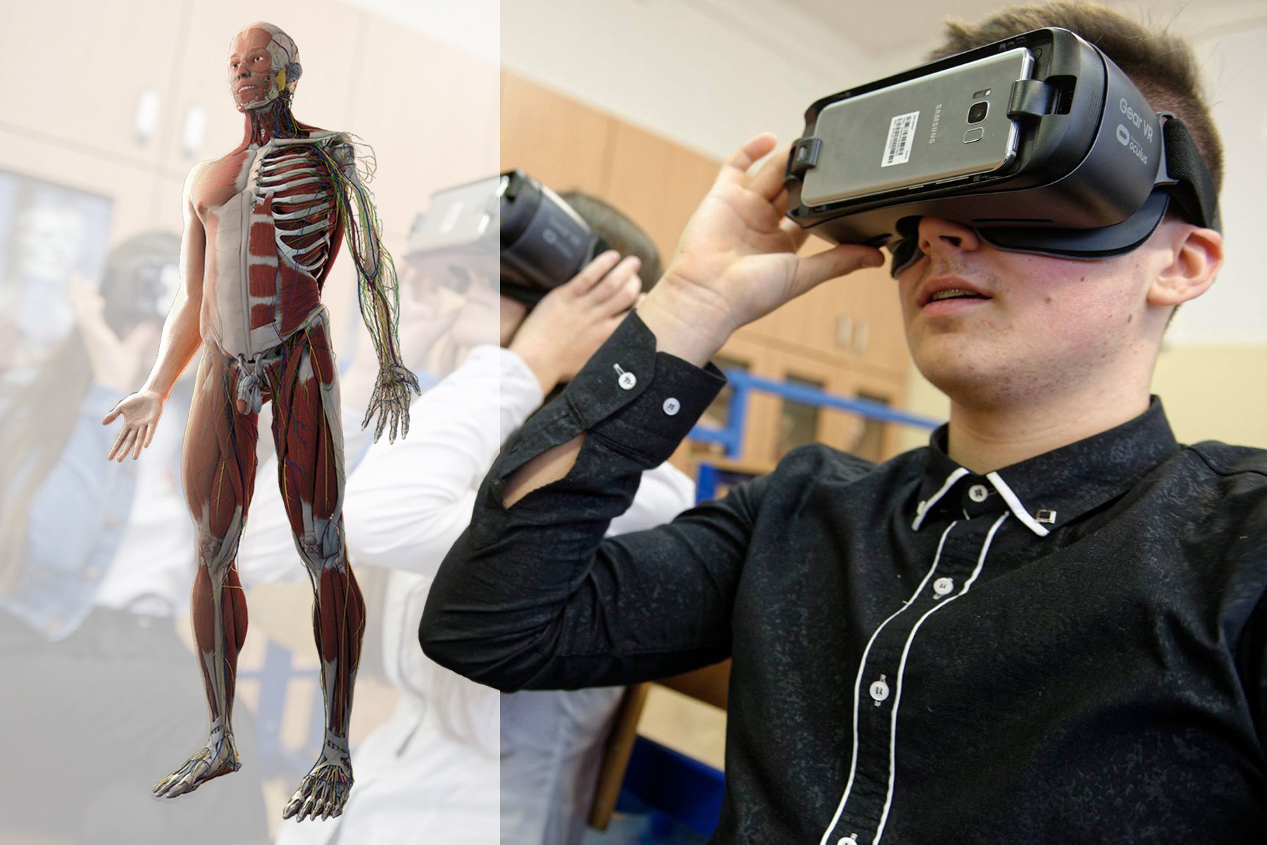 Ve virtuálním těle: Česká aplikace Human Anatomy VR dobývá svět | 100+1 ...
