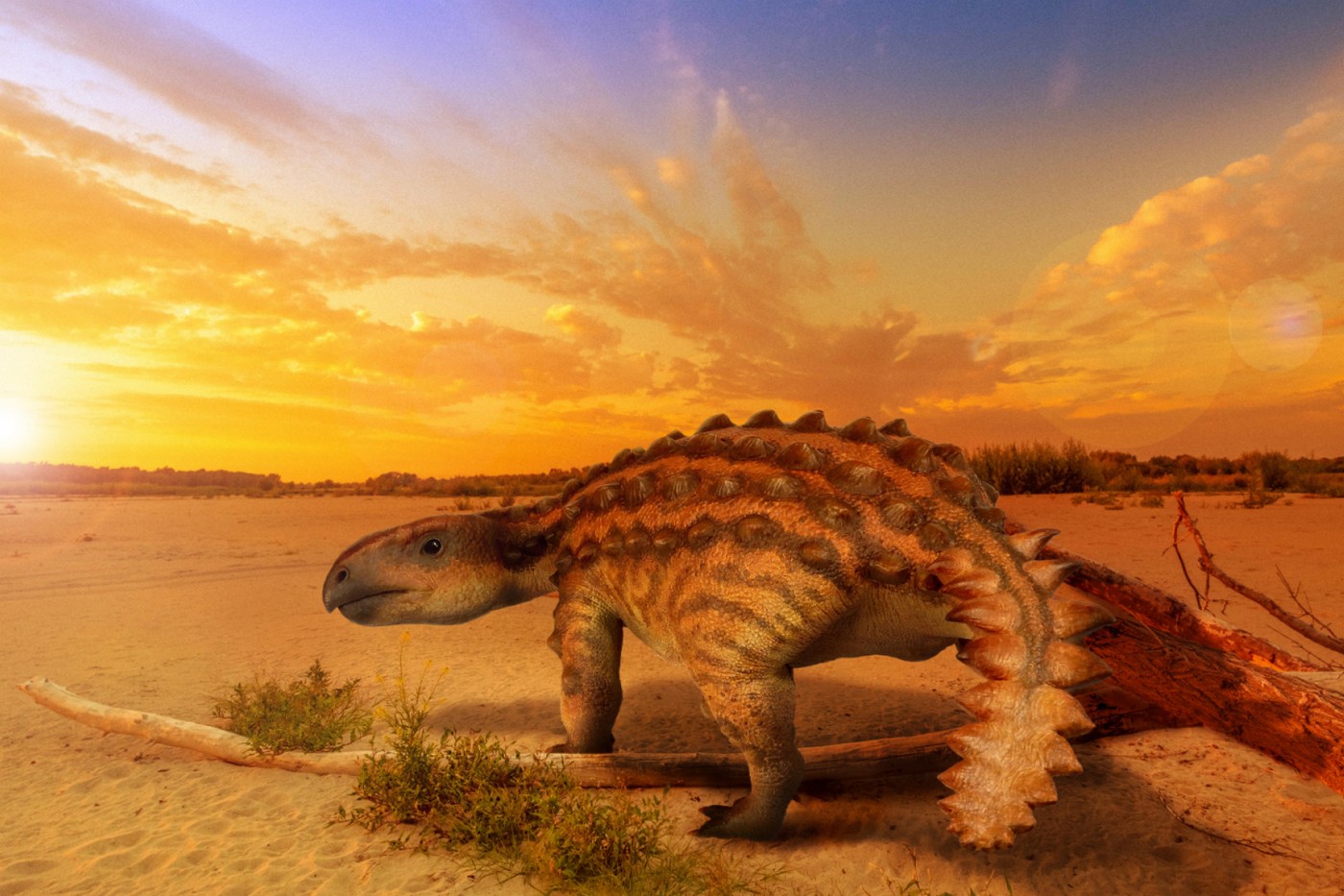 Ocas nově objeveného ankylosaura Stegourose připomíná válečný kyj ...