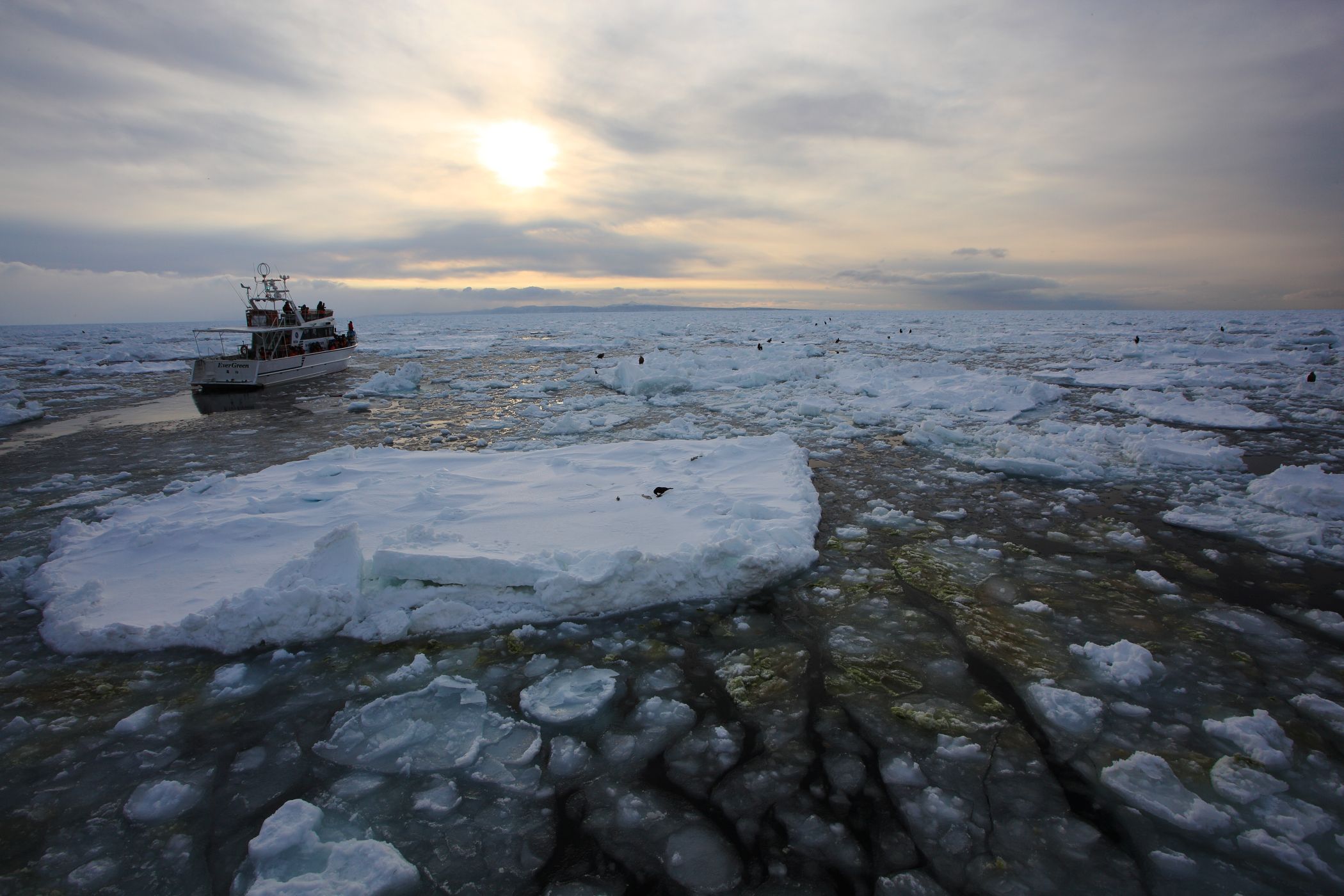 Příroda ostrova Hokkaido: Kouzla japonské Arktidy | 100+1 zahraniční ...