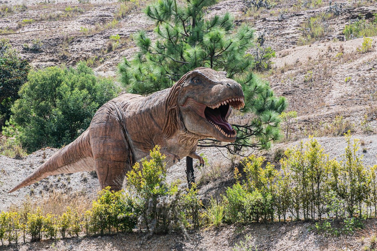 Nová hypotéza: Proč měl T-Rex tak malé přední končetiny? | 100+1 ...