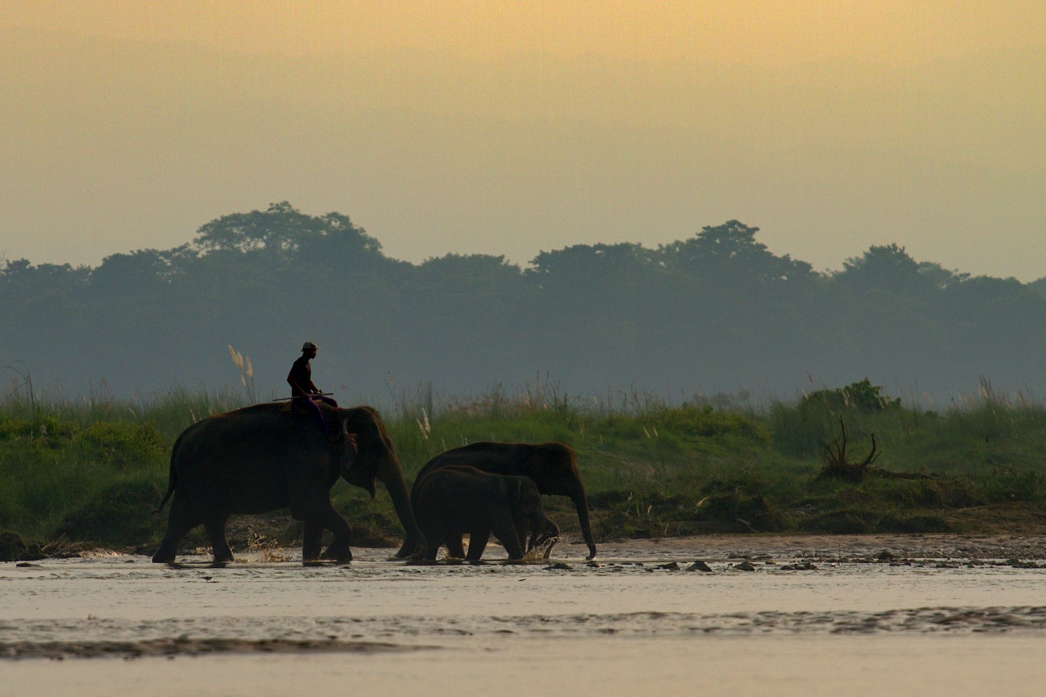 Nepálský park Čitvan: Divoká příroda pod vojenským dohledem | 100+1 ...