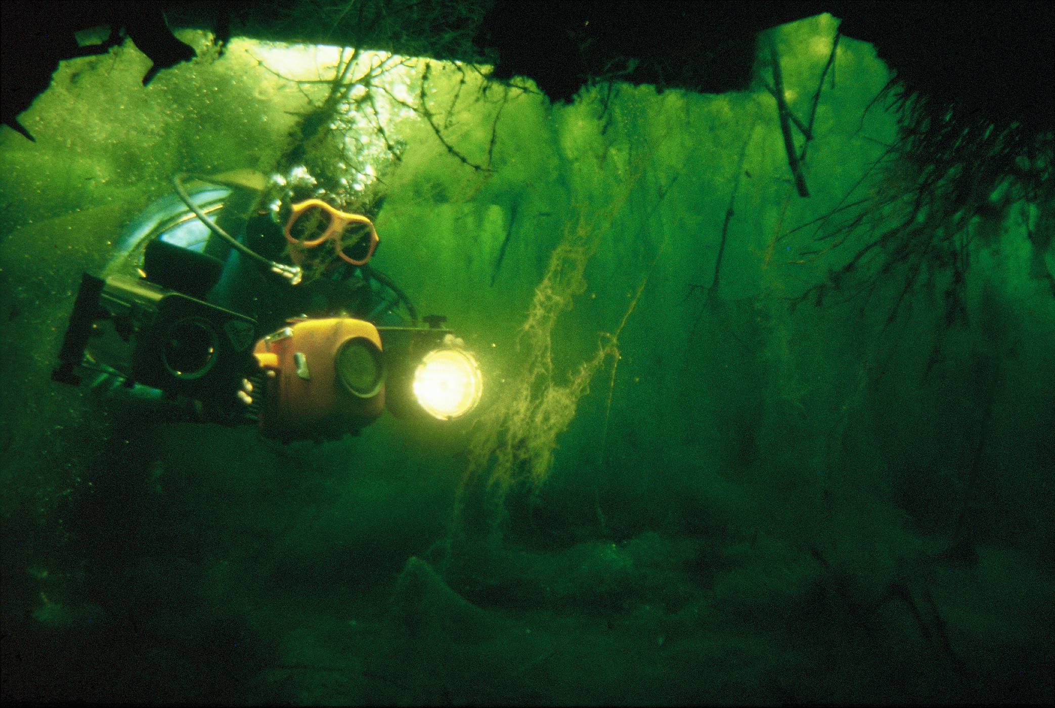 Vnitrozemská delta Dunaje: Zanikající vodní svět u Bratislavy | 100+1 ...