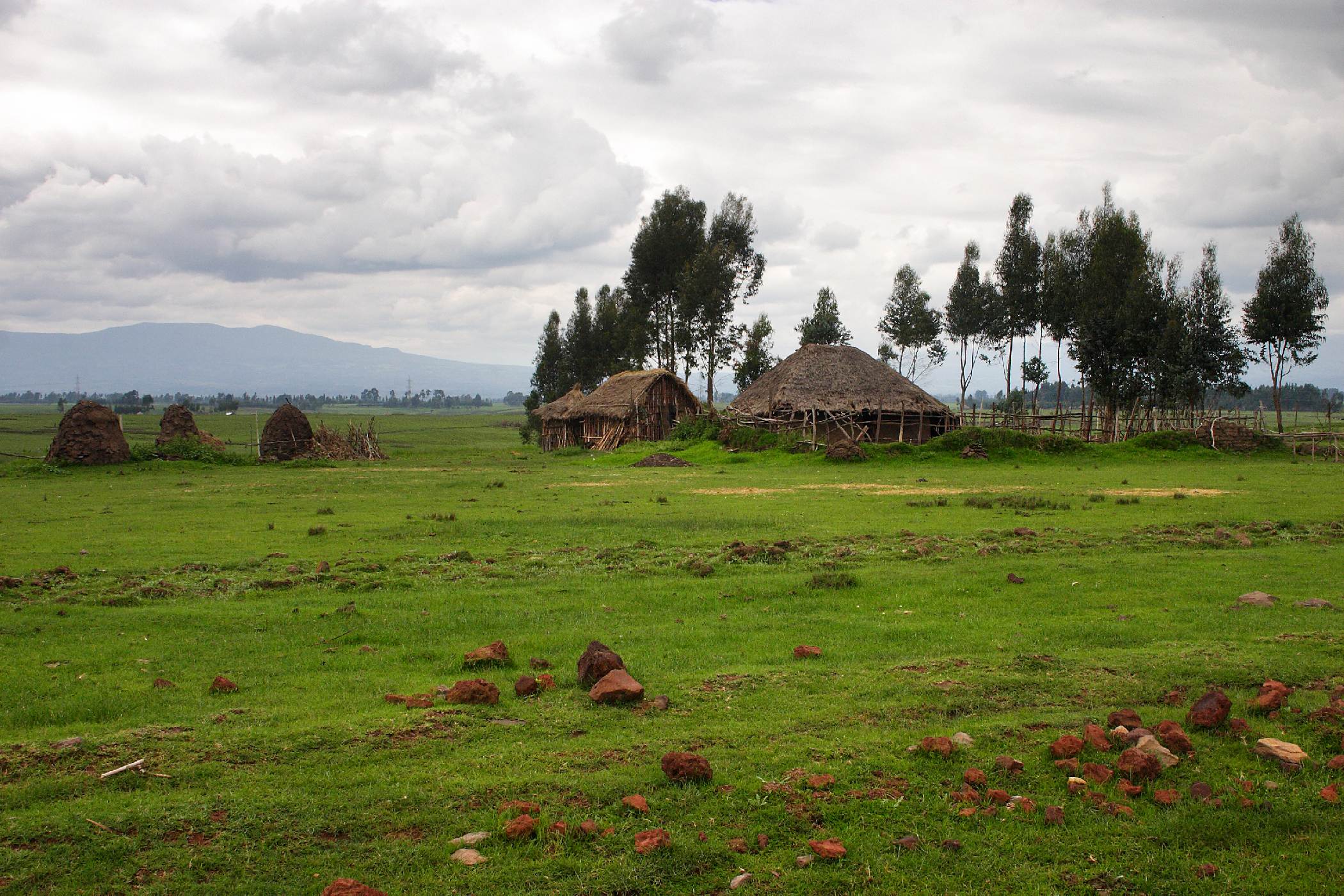 Národní parky východní Afriky: Chudoba a bohatství Etiopie | 100+1 ...