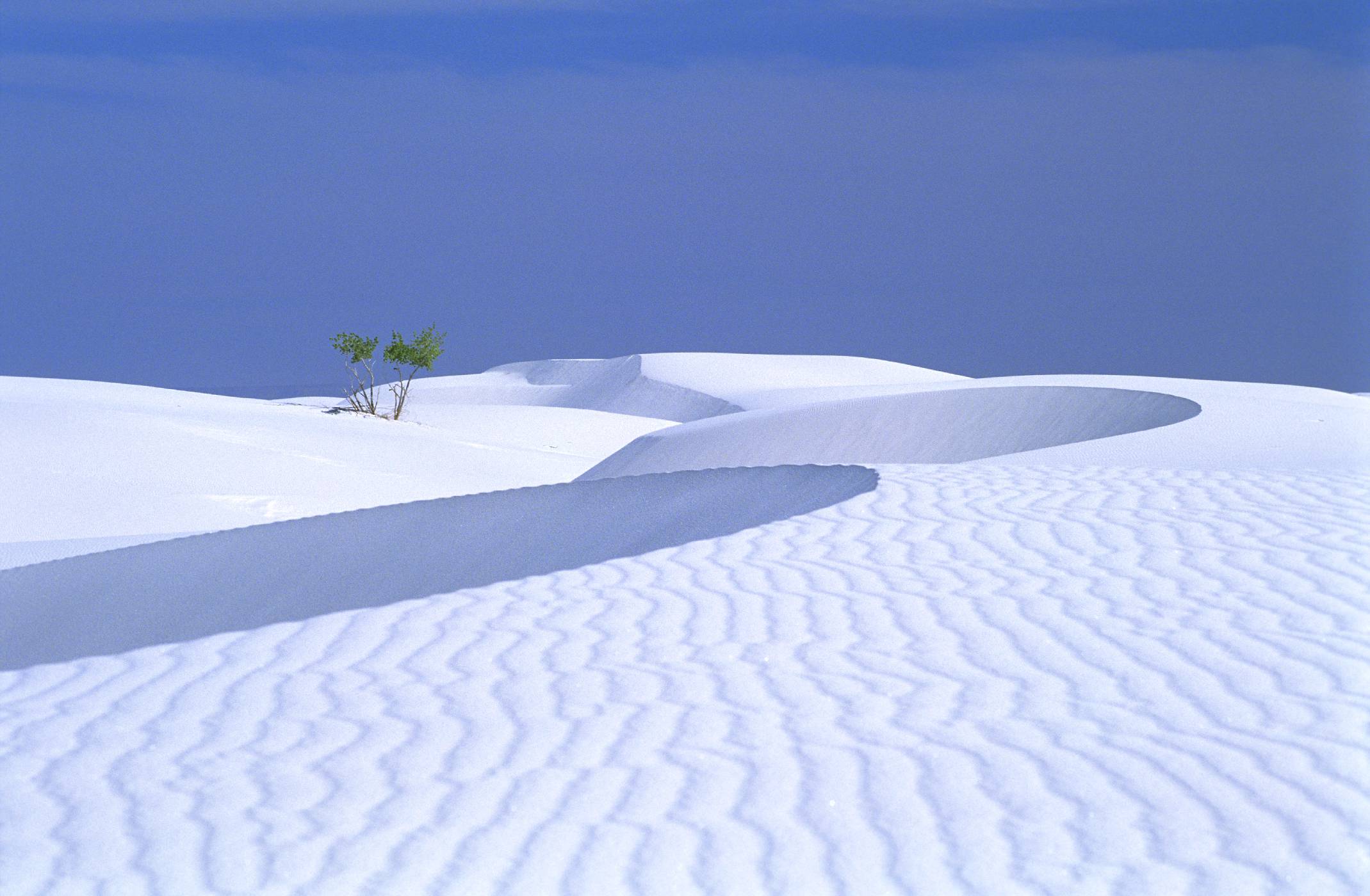 Pustiny Severní Ameriky: Čtyři druhy pouště | 100+1 zahraniční zajímavost