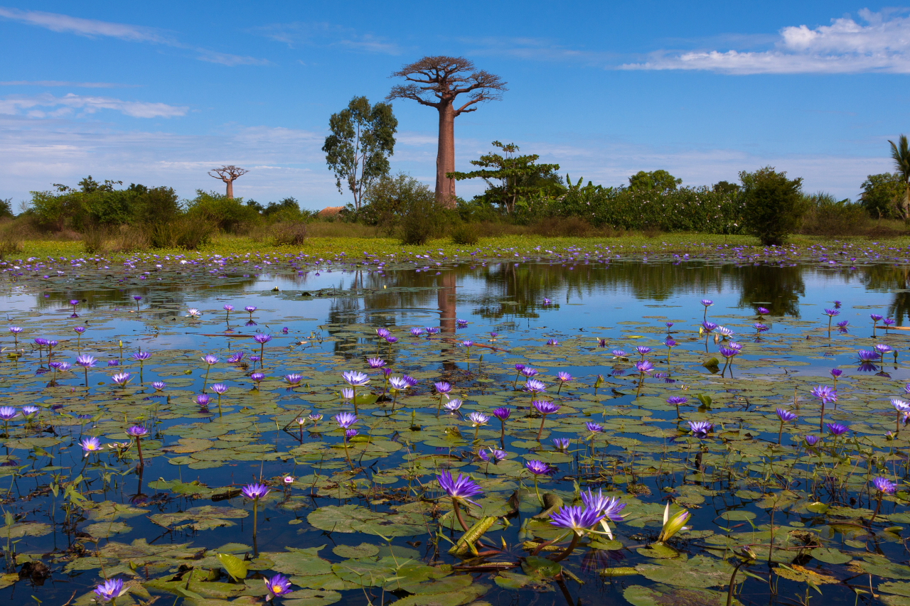 Madagaskar: Ostrov s pirátskou tradicí | 100+1 zahraniční zajímavost