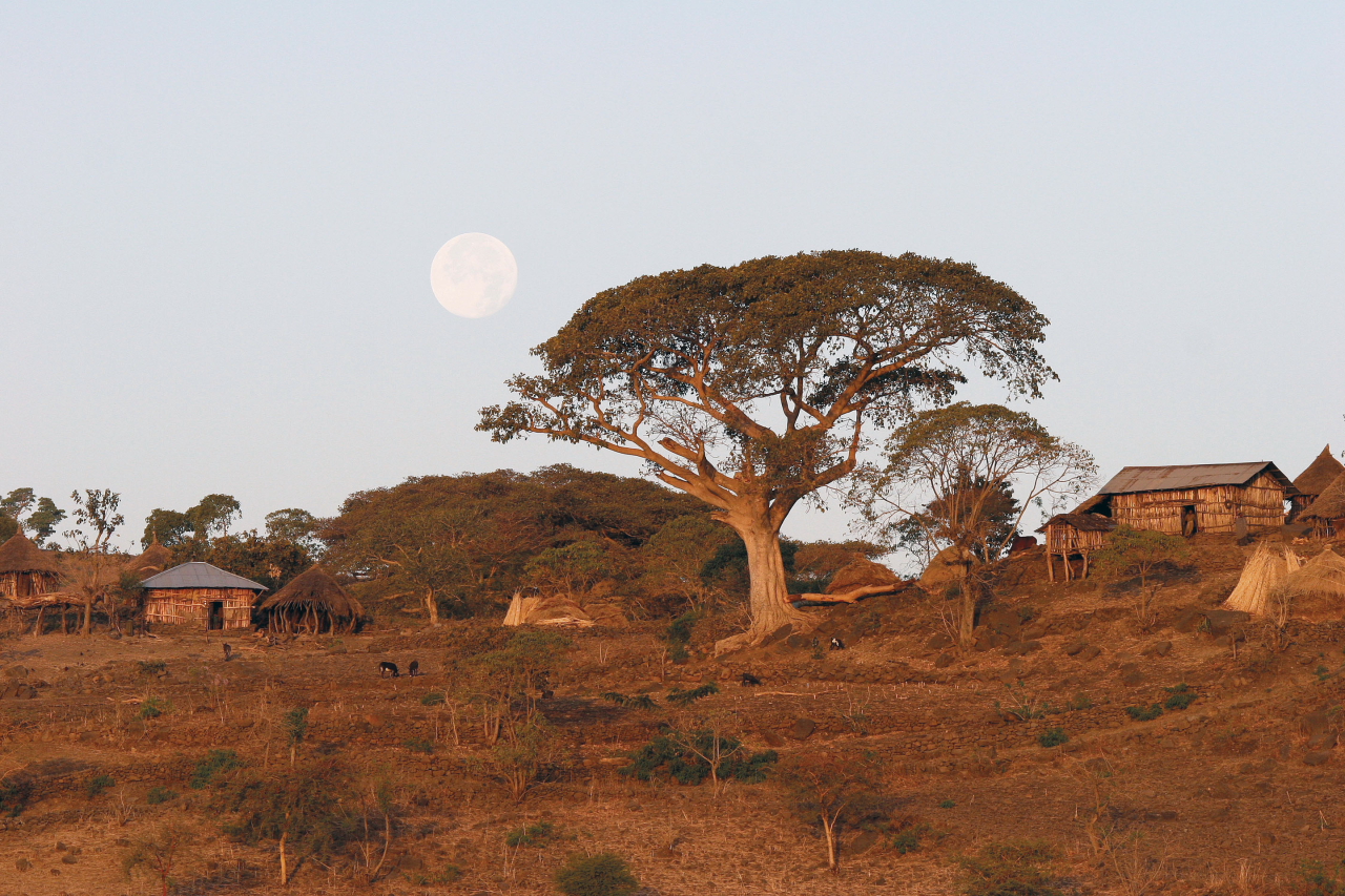 Etiopie: Hrdá minulost, utopená v bídě | 100+1 zahraniční zajímavost