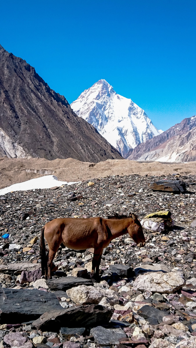 Čínský Sin-ťiang: Ujgurský život ve strachu | 100+1 zahraniční zajímavost