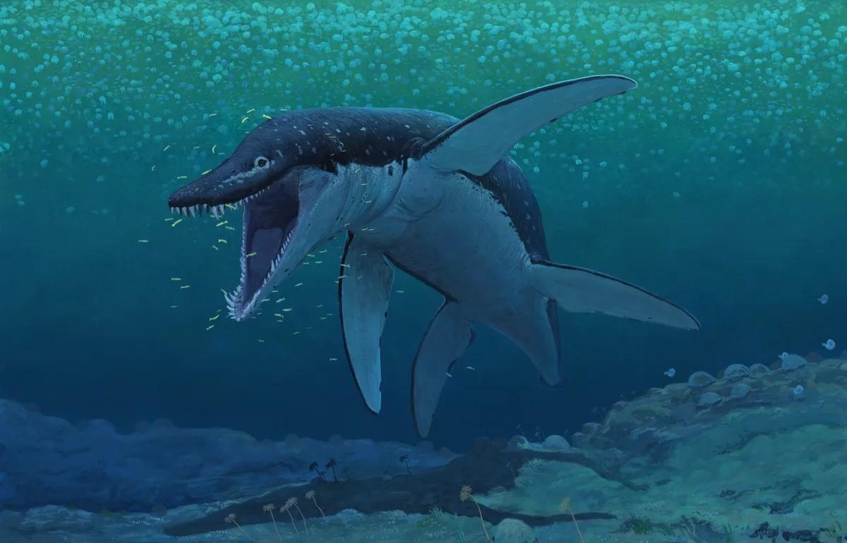 Pliosaurus z Lorraine odkrývá počátek evoluce mořských monster | 100+1 ...