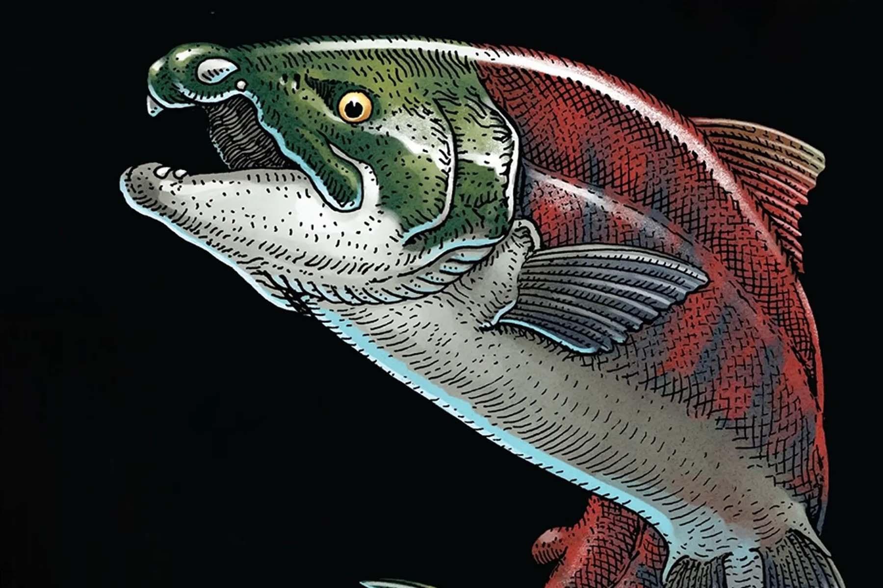 Monstrózní prehistorický losos měl kly jako prase bradavičnaté | 100+1 ...