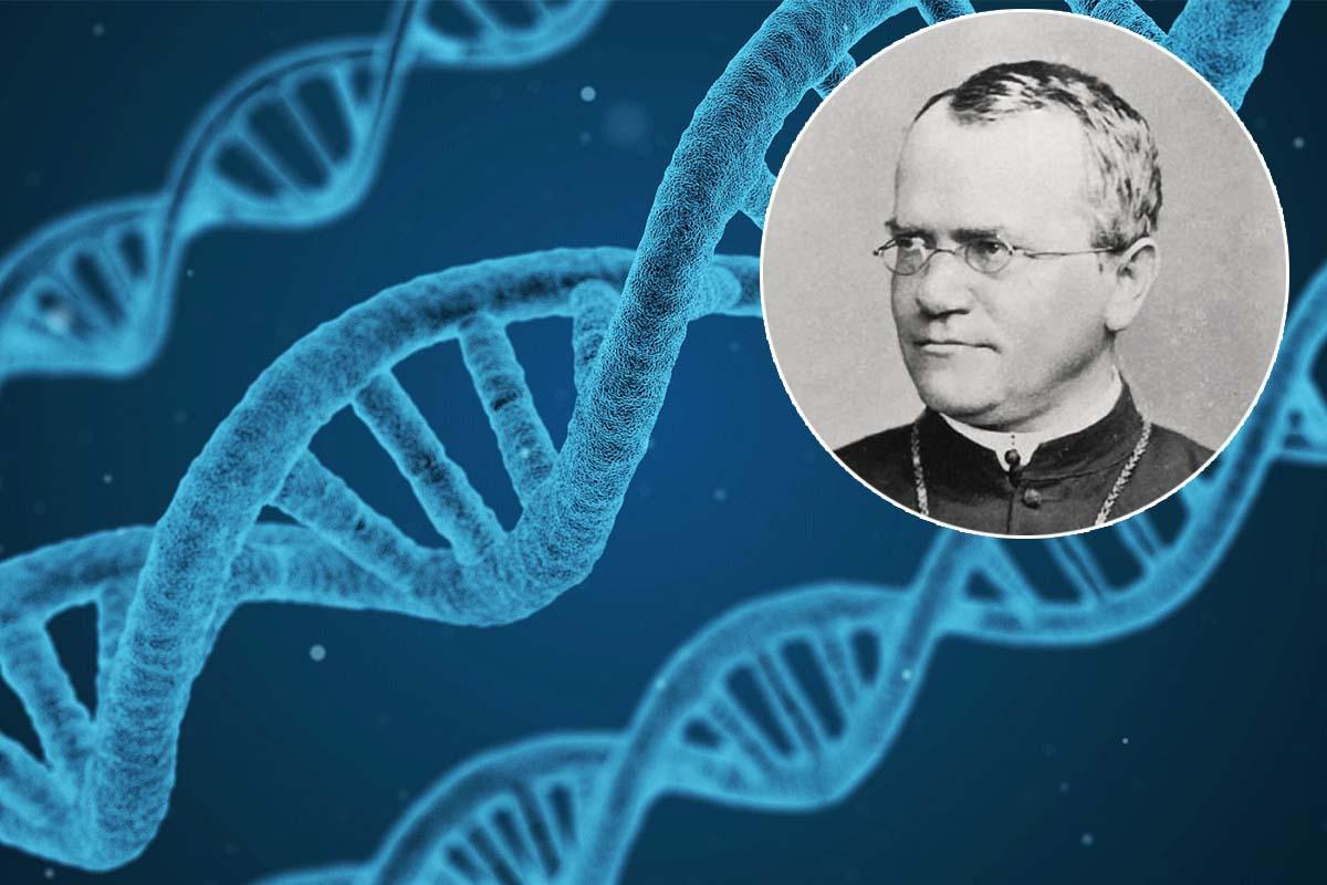 Narodil se zakladatel genetiky Gregor Johann Mendel | 100+1 zahraniční ...