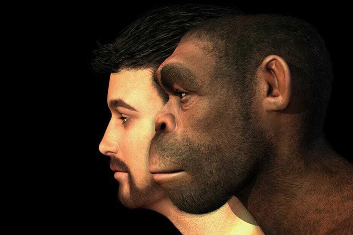 Neandertálci vymřeli před 40 000 lety, nikdy ale nebylo na Zemi více ...