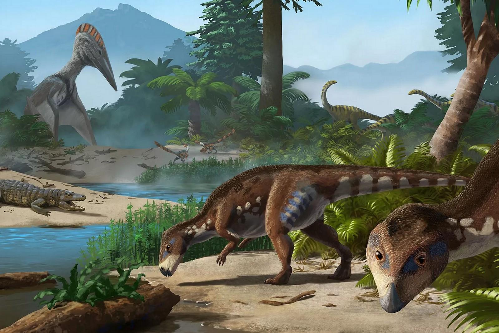 Paleontologové popsali nový druh trpasličího dinosaura z Transylvánie ...
