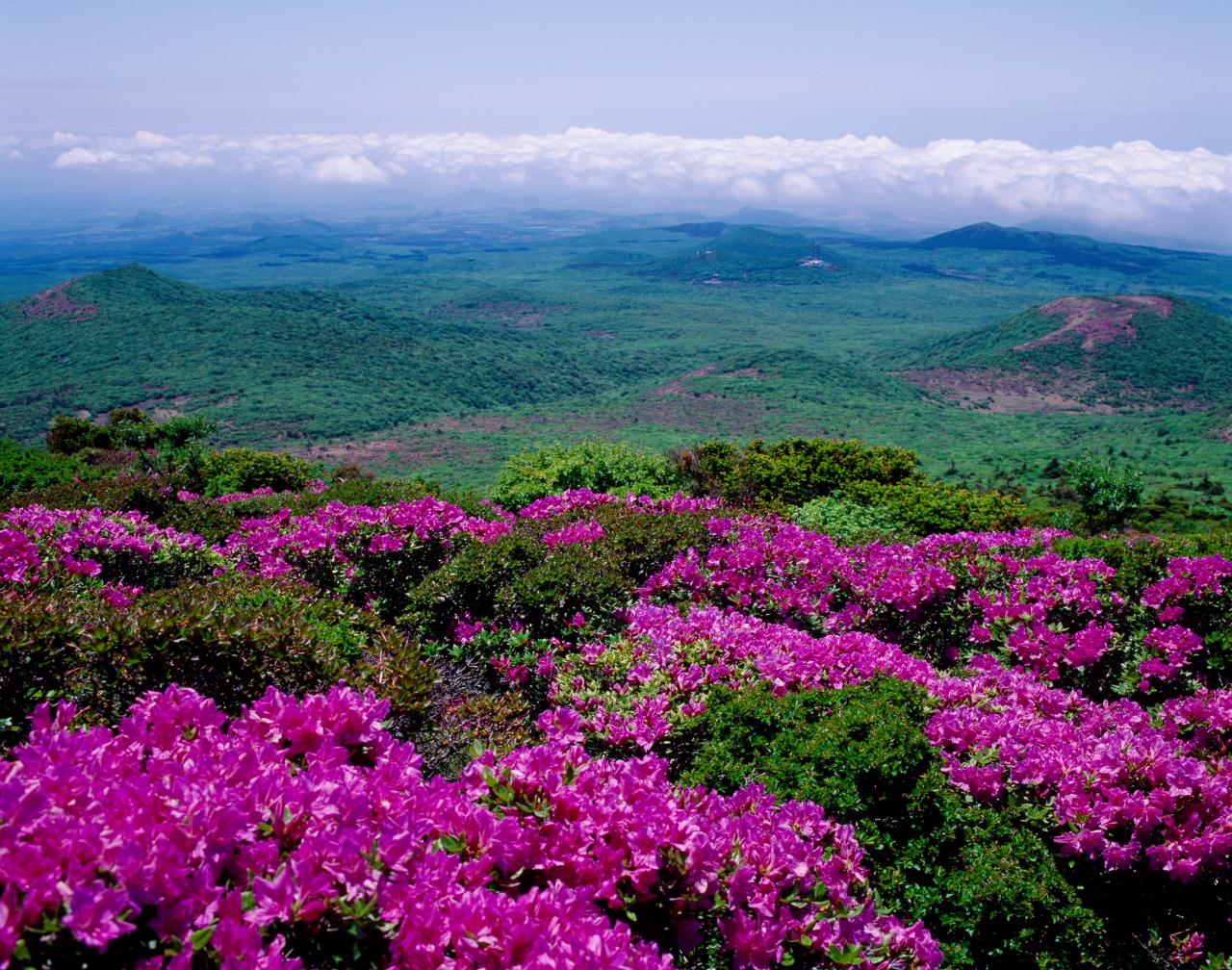 Jižní Korea: Ostrov na Korejském poloostrově | 100+1 zahraniční zajímavost