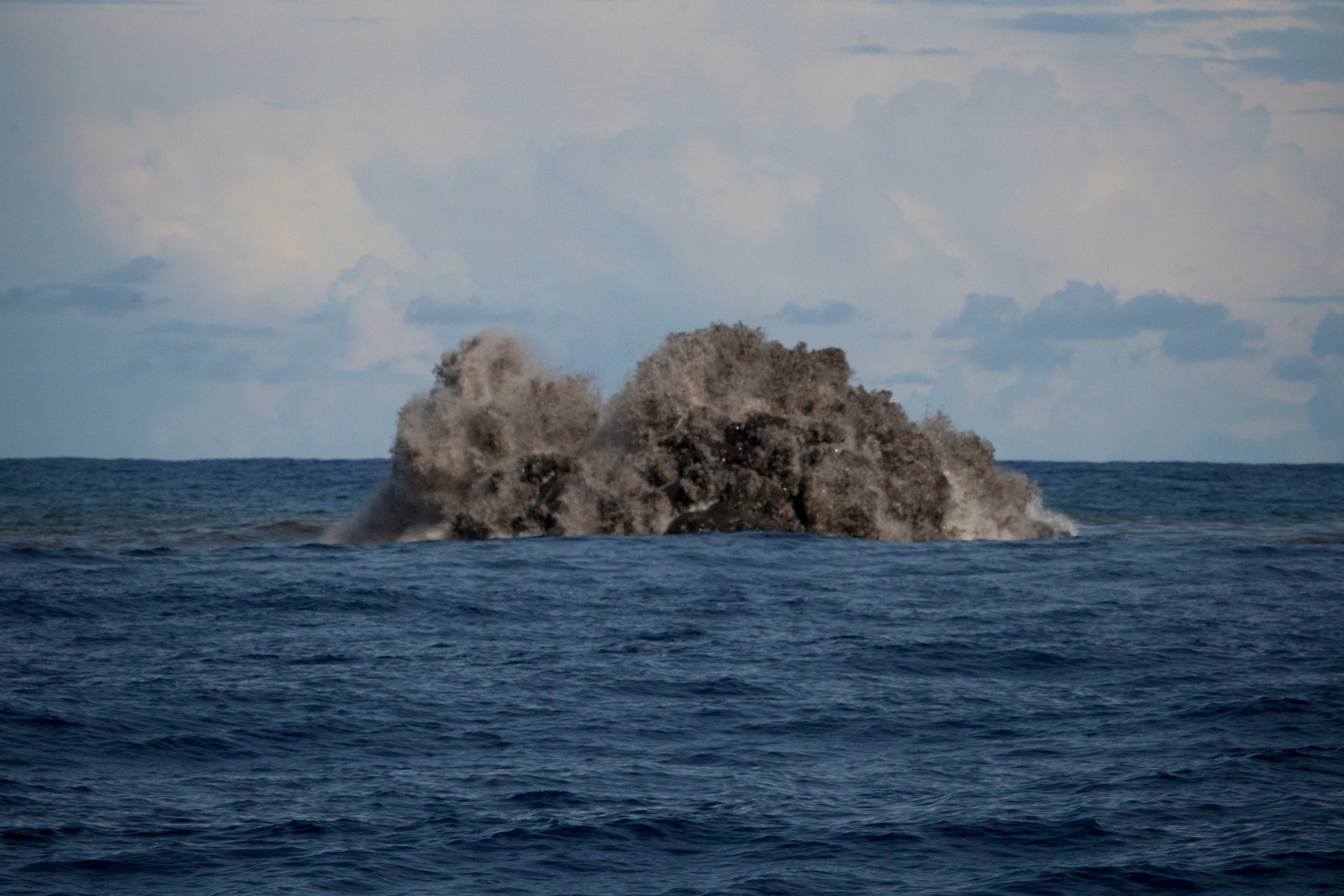 žralok | 100+1 zahraniční zajímavost
