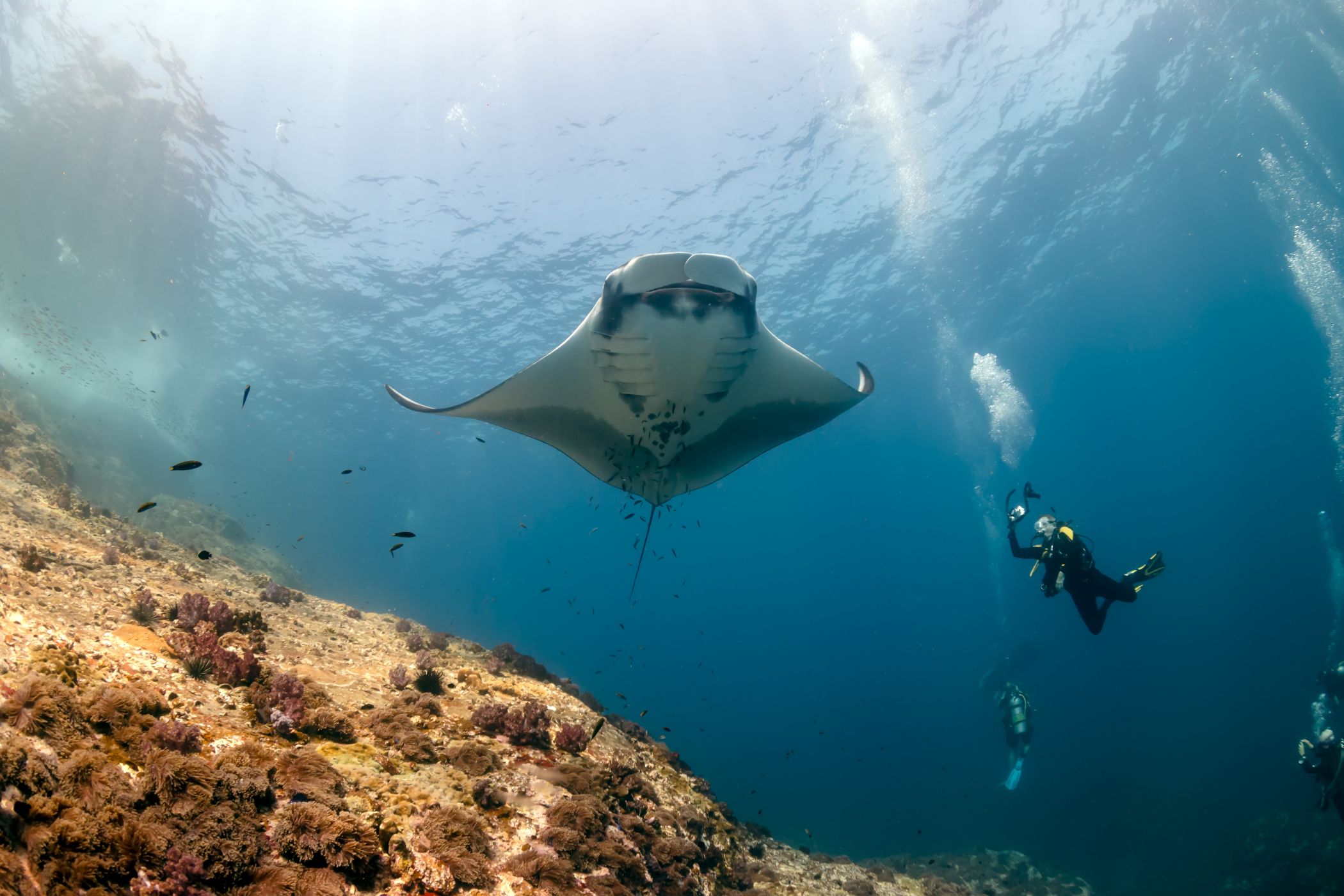 ryba | 100+1 zahraniční zajímavost