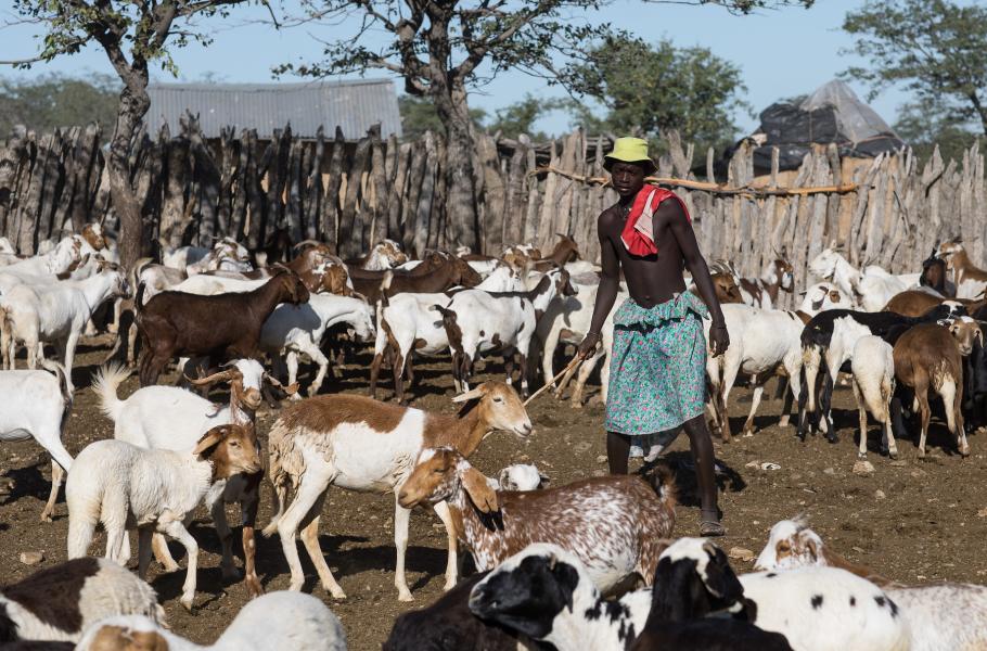 Vesnice červených žen: Na návštěvě u namibijského kmene Himbů | 100+1 zahraniční zajímavost