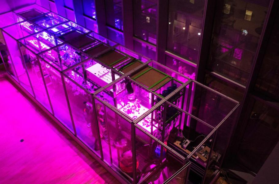 Inženýři MIT vyvinuli „počítače na jídlo“ pro pěstování plodin kdekoliv ...