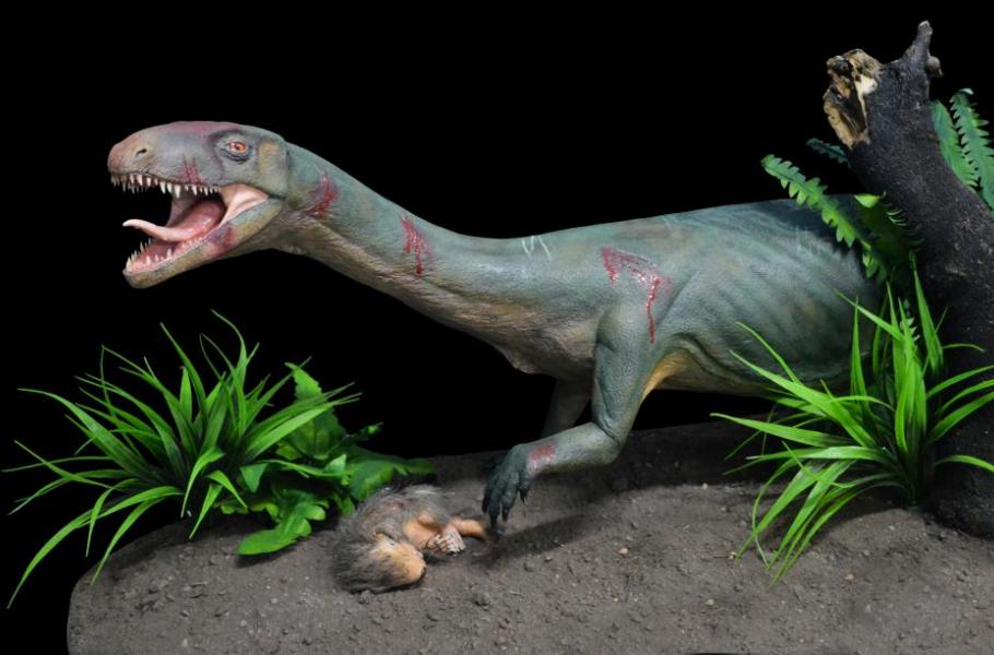 Teleocrater: Předek dinosaurů byl až překvapivě podobný krokodýlům ...