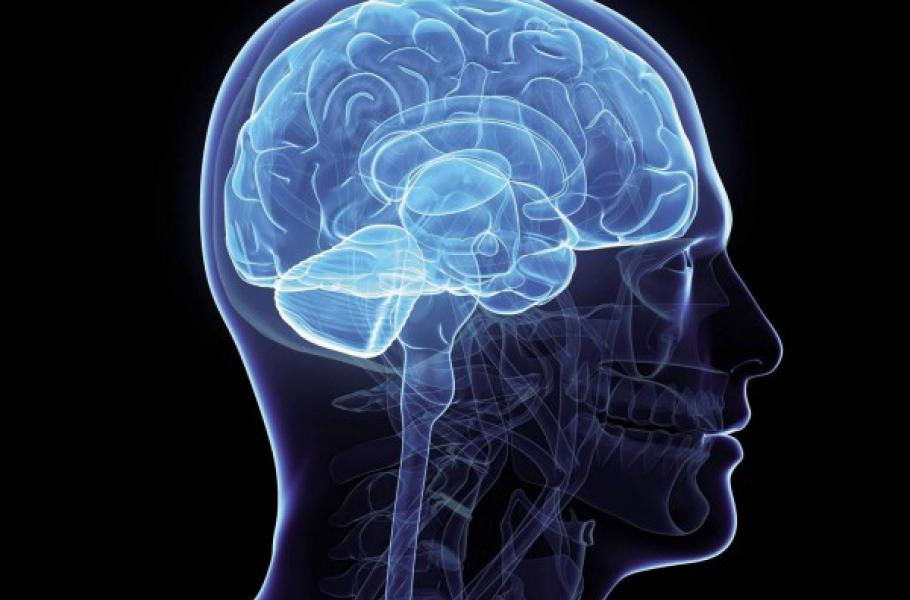 5 největších mýtů o lidském mozku | 100+1 zahraniční zajímavost