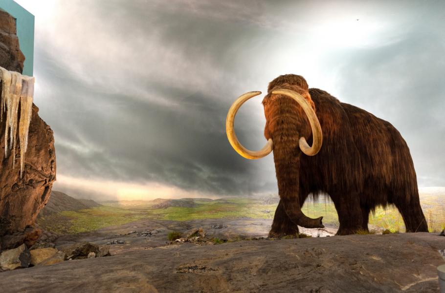 Konec dávných obrů: Kdy a proč vymřeli mamuti? | 100+1 zahraniční ...