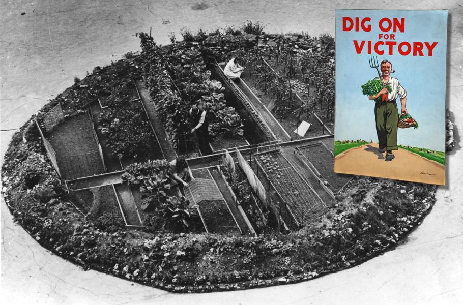 Zahrádkařením k vítězství: Britská válečná kampaň Dig for Victory | 100 ...