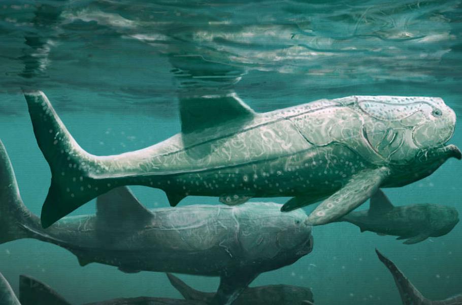 Ponorka z devonu: Obrněný Titanichthys měl metr širokou tlamu | 100+1 ...