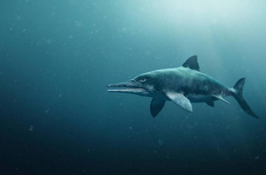 Paleontologové objevili zkamenělého ichtyosaura i s jeho kořistí v ...