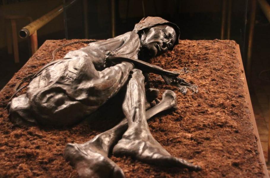 Jaké bylo poslední jídlo slavné mumie Tollundského muže z rašeliniště ...