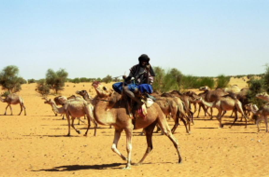 Mali: Horká půda vyprahlého státu | 100+1 zahraniční zajímavost